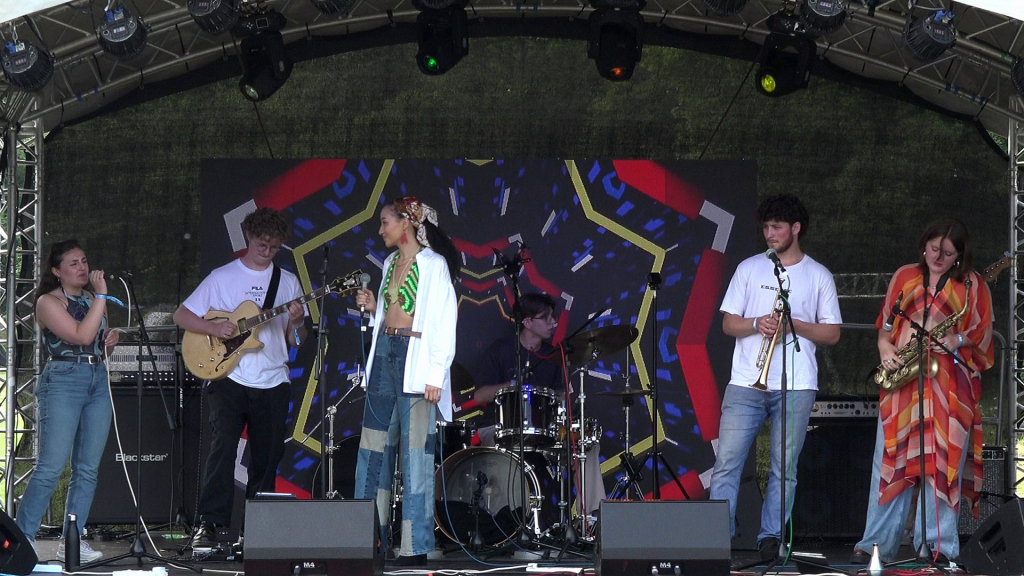 Photo Gallery - Reigate Summer Festival